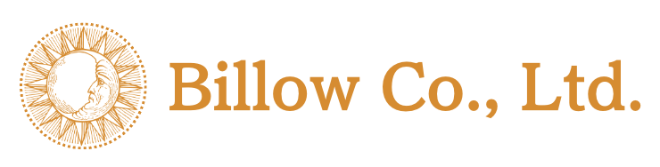 企業概要 | Billow株式会社